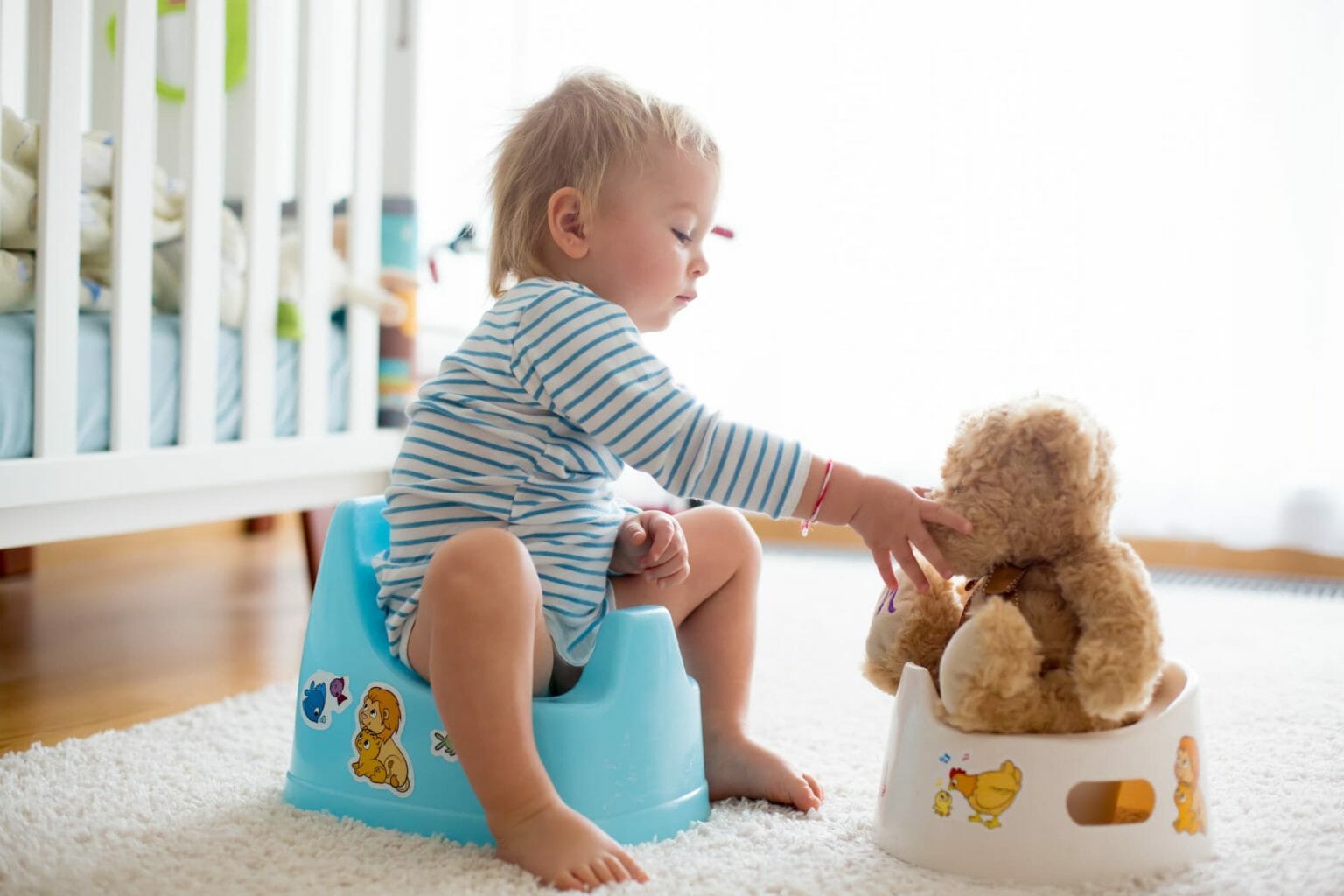Everything You Need To Know About Potty Training | Childhealthy